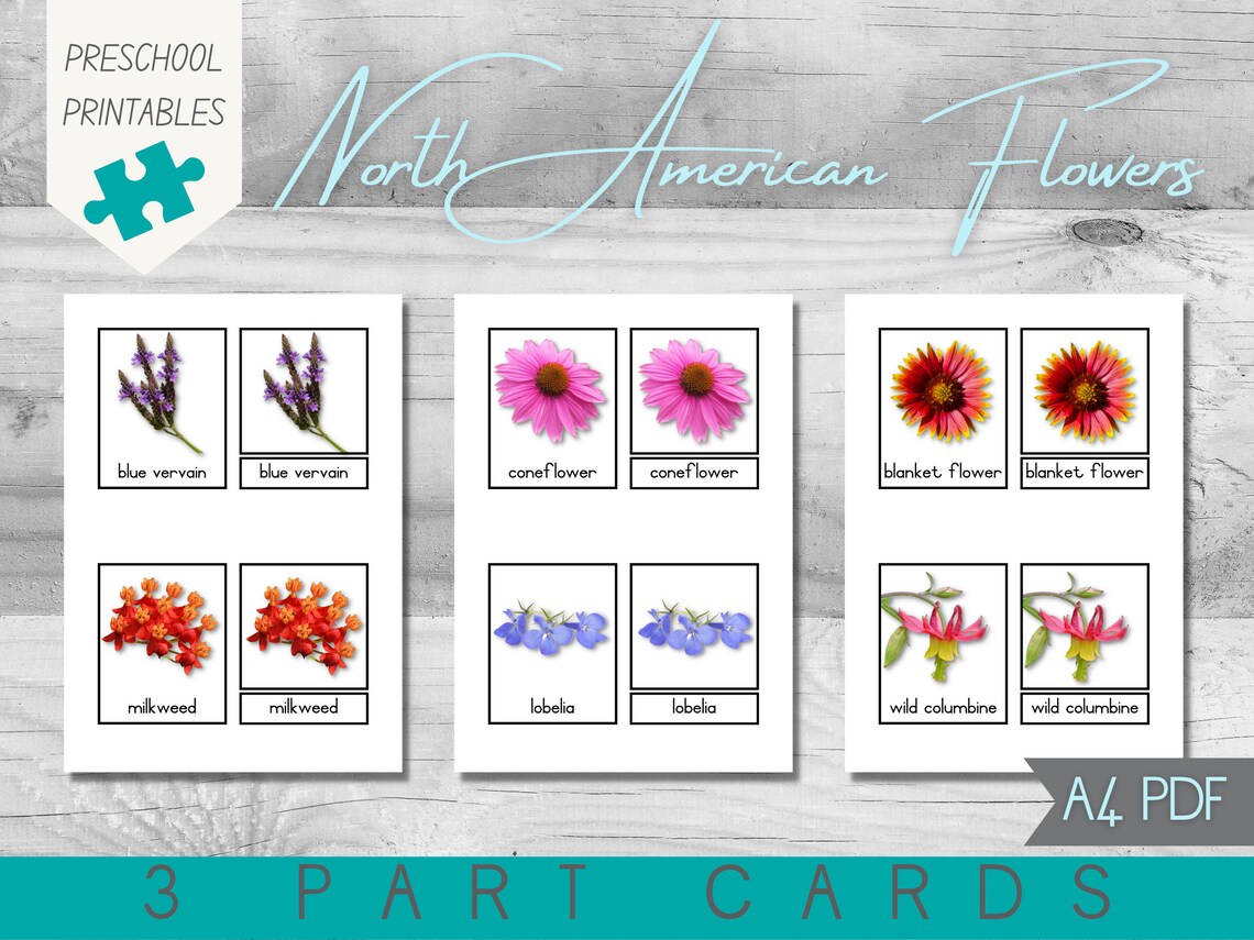 North American Flowers | Montessori Continents Preschool Activity | 12 ...