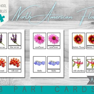 North American Flowers | Montessori Continents Preschool Activity | 12 ...