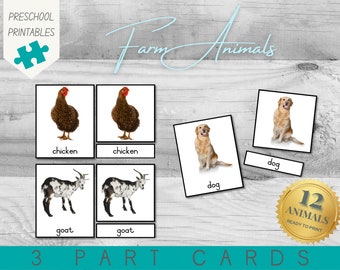 Montessori Continents 3 Part Cards PDF Printable | Etsy