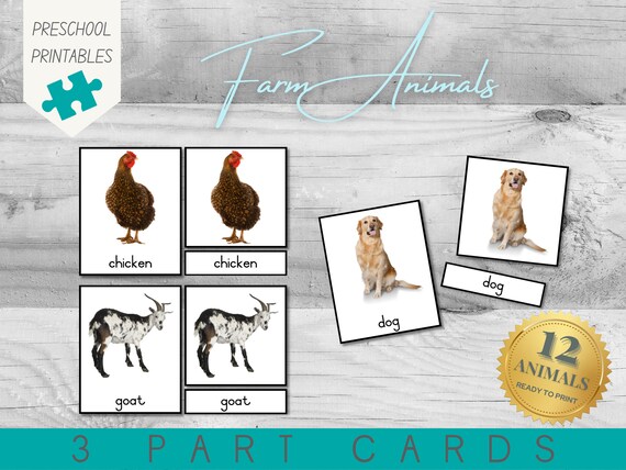 Farm Animals 3 Part Cards PDF Printable - Etsy