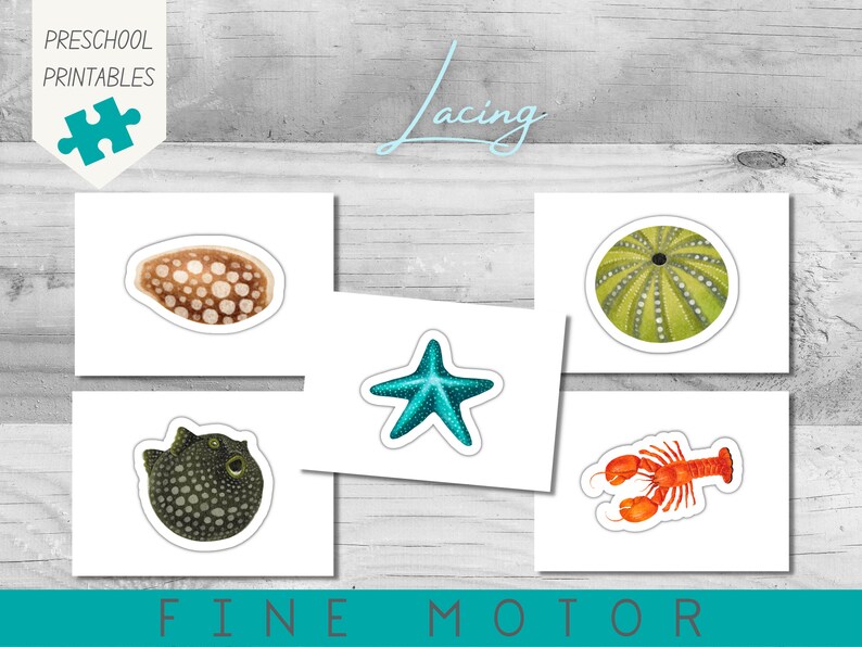 Sea Ocean Animals Lacing Card Activity | Preschool & Homeschool ...