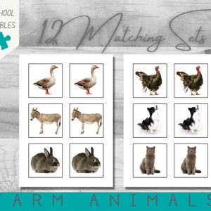 Farm Animal Matching Cards | 12 Sets | PDF Printable - Etsy
