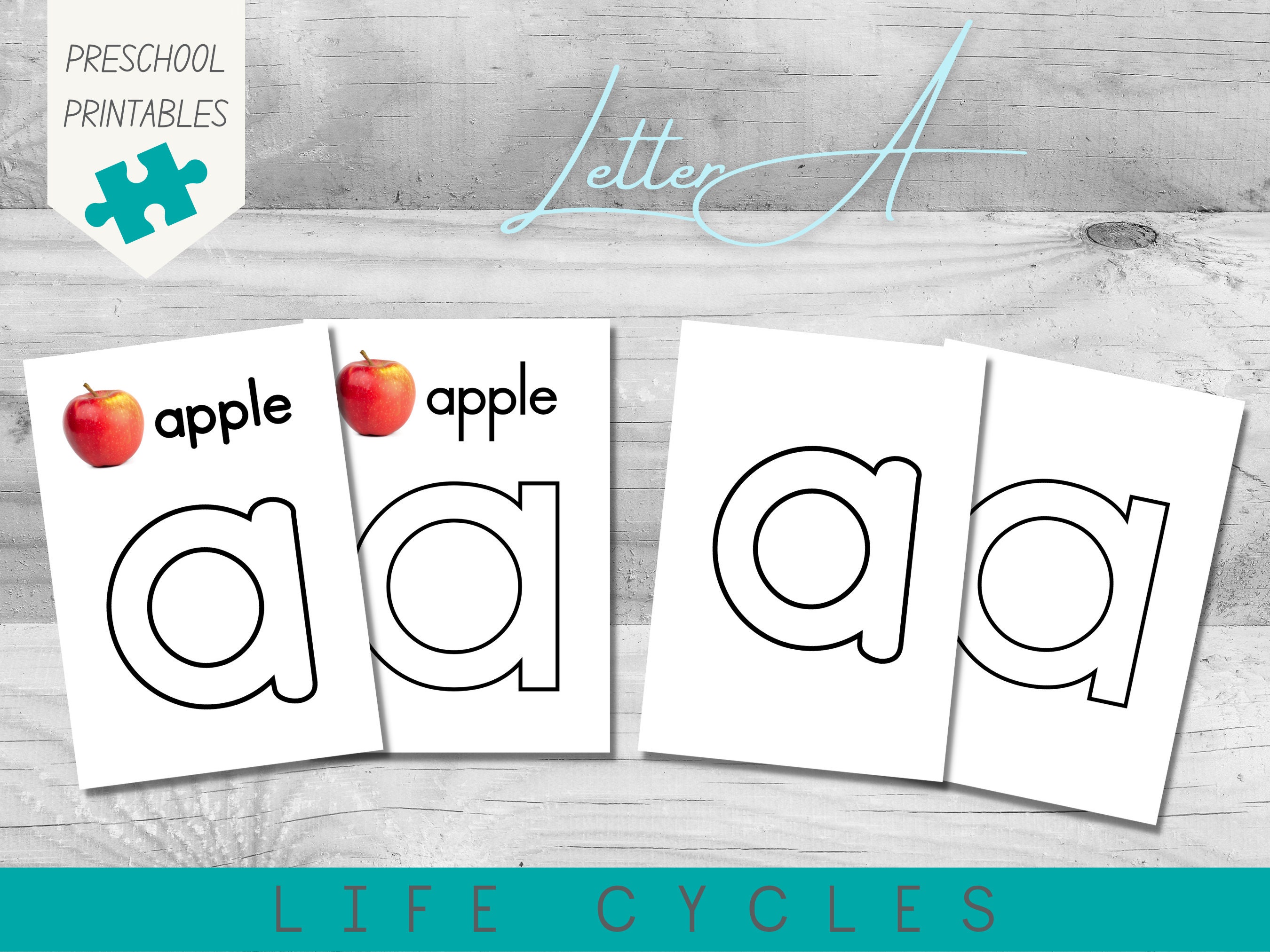 Life Cycle of an Apple Tree Activity Set Matching Cards 3 - Etsy