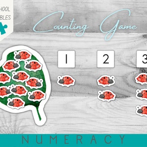 Ladybirds Counting & Addition Game Activity | Homeschool Maths ...