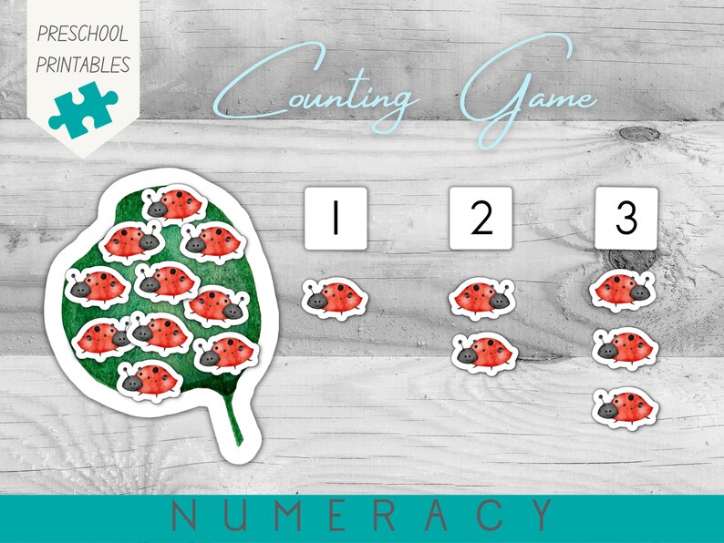 Ladybirds Counting & Addition Game Activity | Homeschool Maths ...