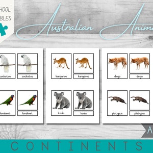 Australian Animals | Montessori Continents | 12 Animals | 3 Part Cards ...