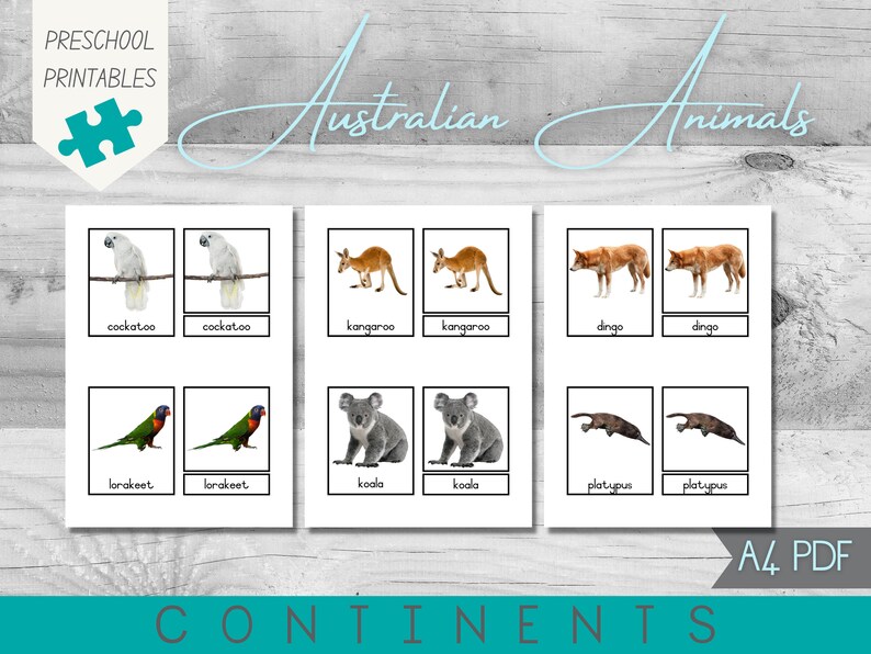 Australian Animals Montessori Continents 12 Animals 3 - Etsy
