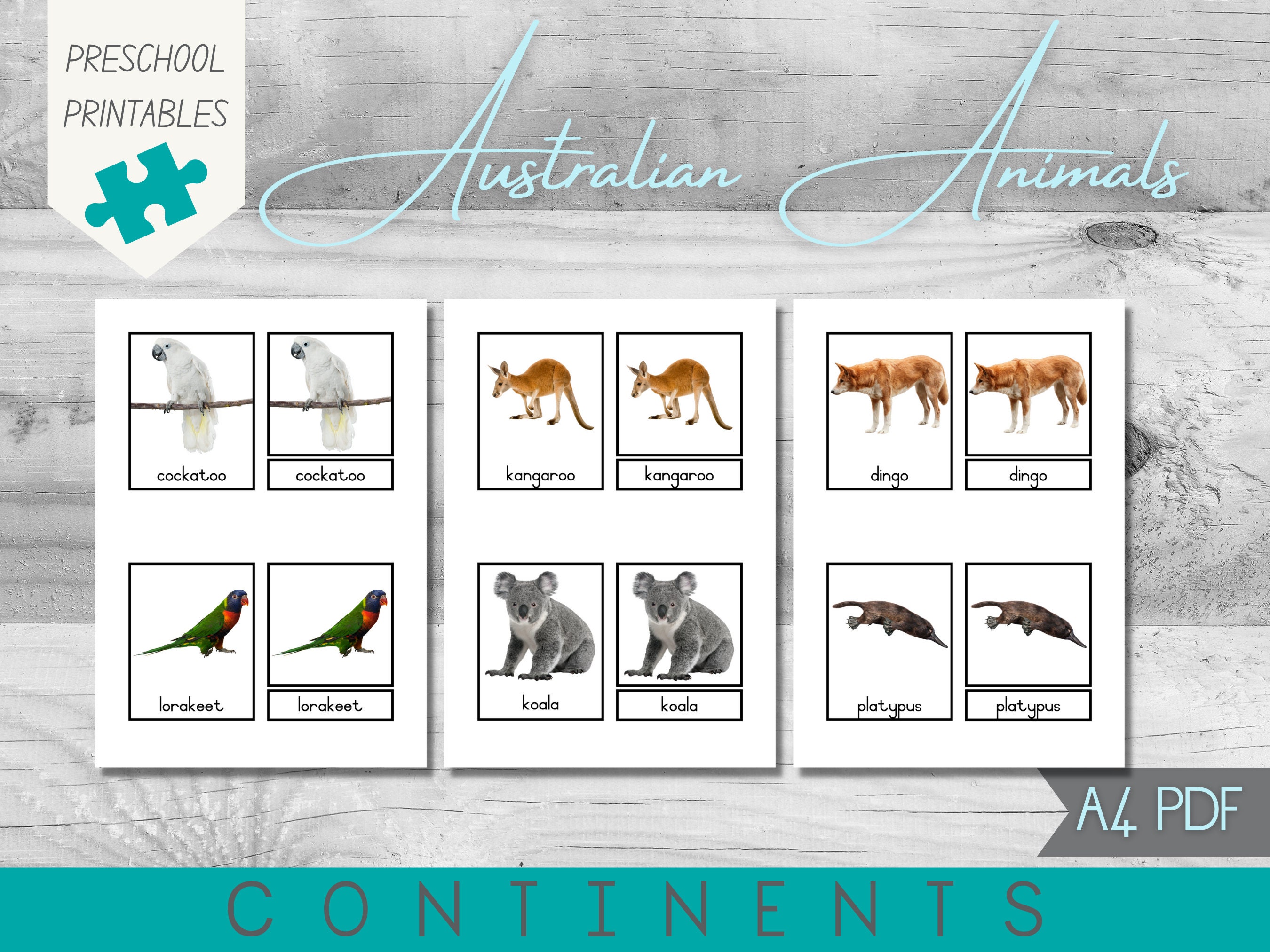 Australian Animals | Montessori Continents | 12 Animals | 3 Part Cards ...