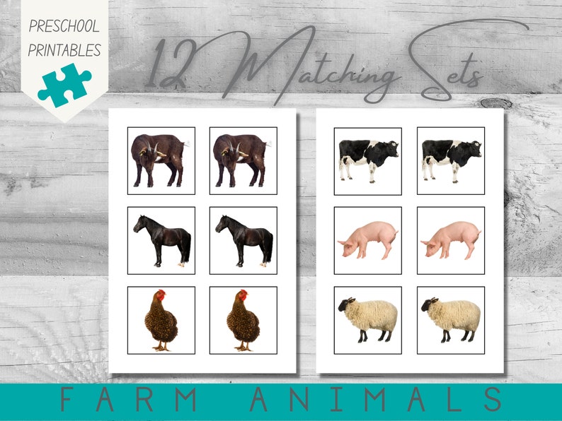 Farm Animal Matching Cards | 12 Sets | PDF Printable - Etsy