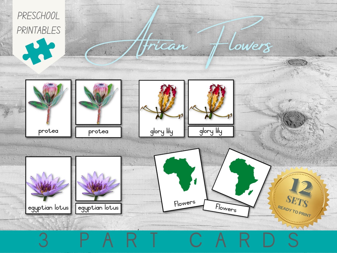 African Flowers | Montessori Continents Preschool Activity | 12 Sets ...