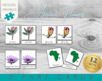 Montessori Continents | 3 Part Cards | PDF Printable - Etsy