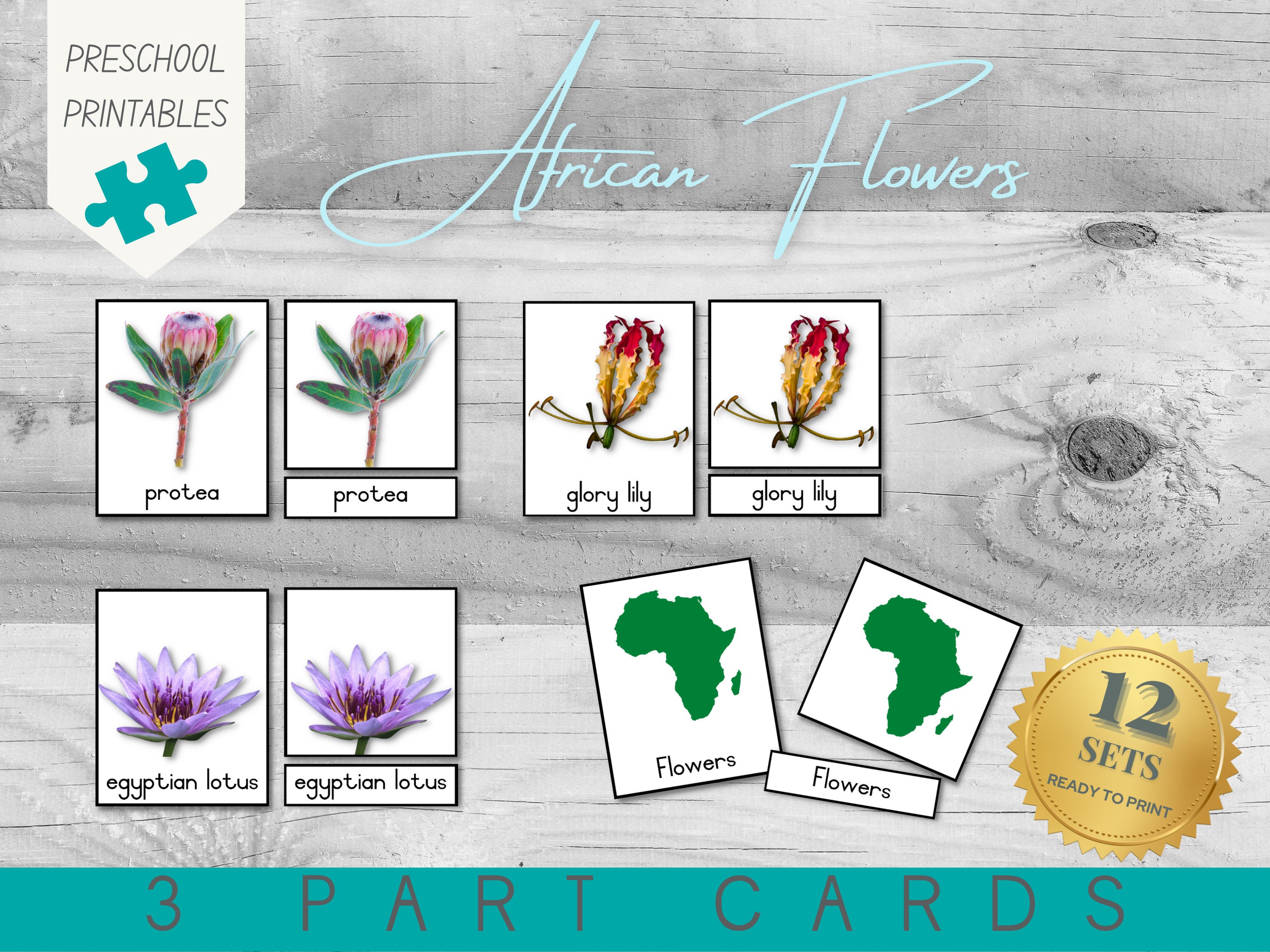 African Flowers | Montessori Continents Preschool Activity | 12 Sets ...