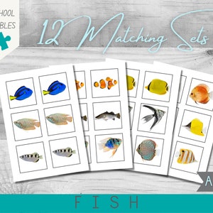 Fish Matching Preschool Activity | 12 Sets | 24 Cards | High Resolution ...