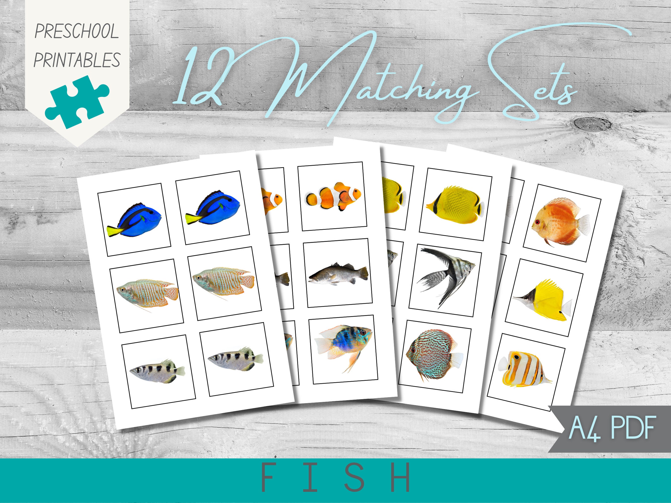 Fish Matching Preschool Activity | 12 Sets | 24 Cards | High Resolution ...