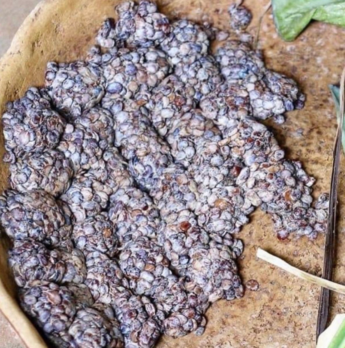 Fresh Original IRU locust Beans | Etsy