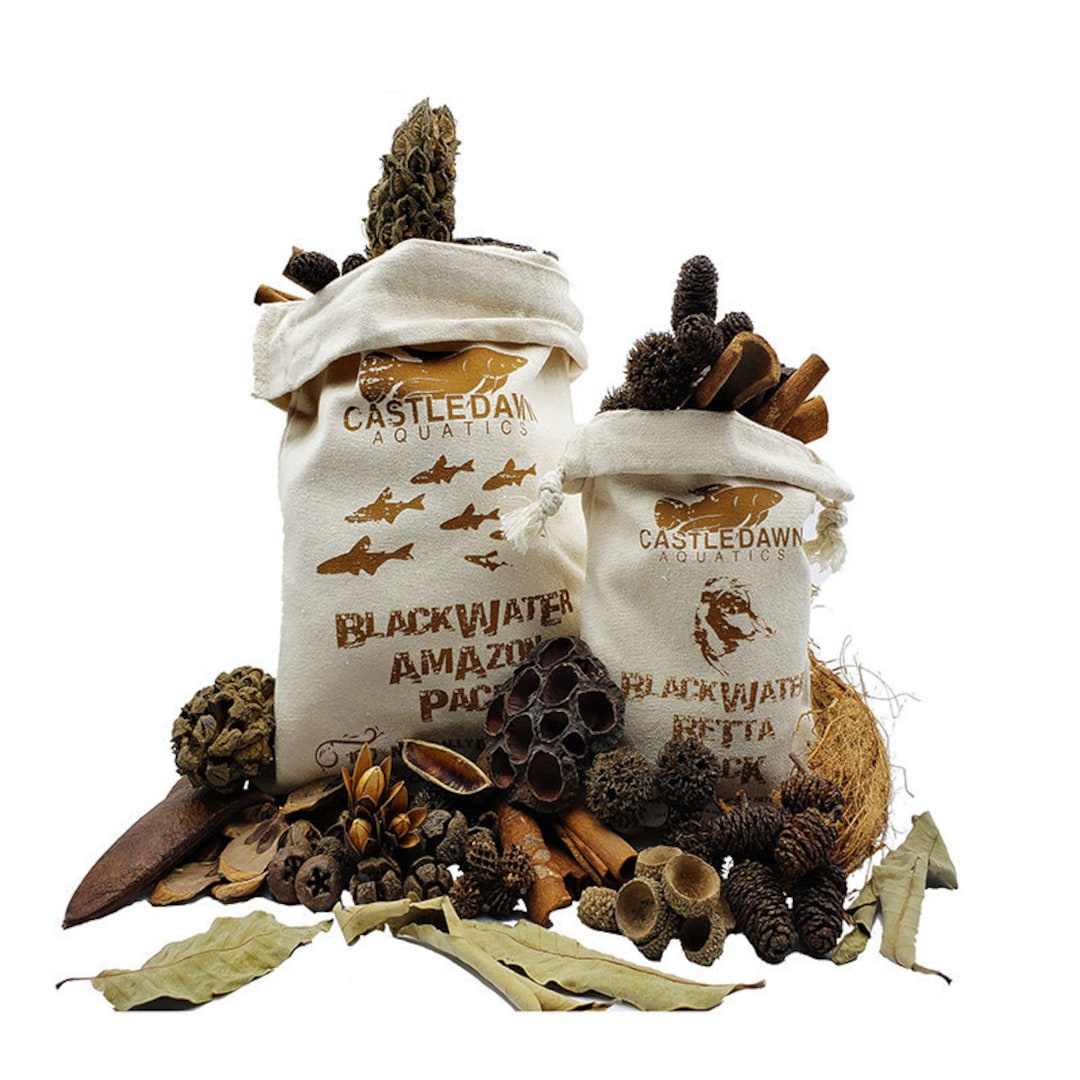 Aquarium Fish Tank Blackwater Aquascaping Betta Shrimp Biotope ...