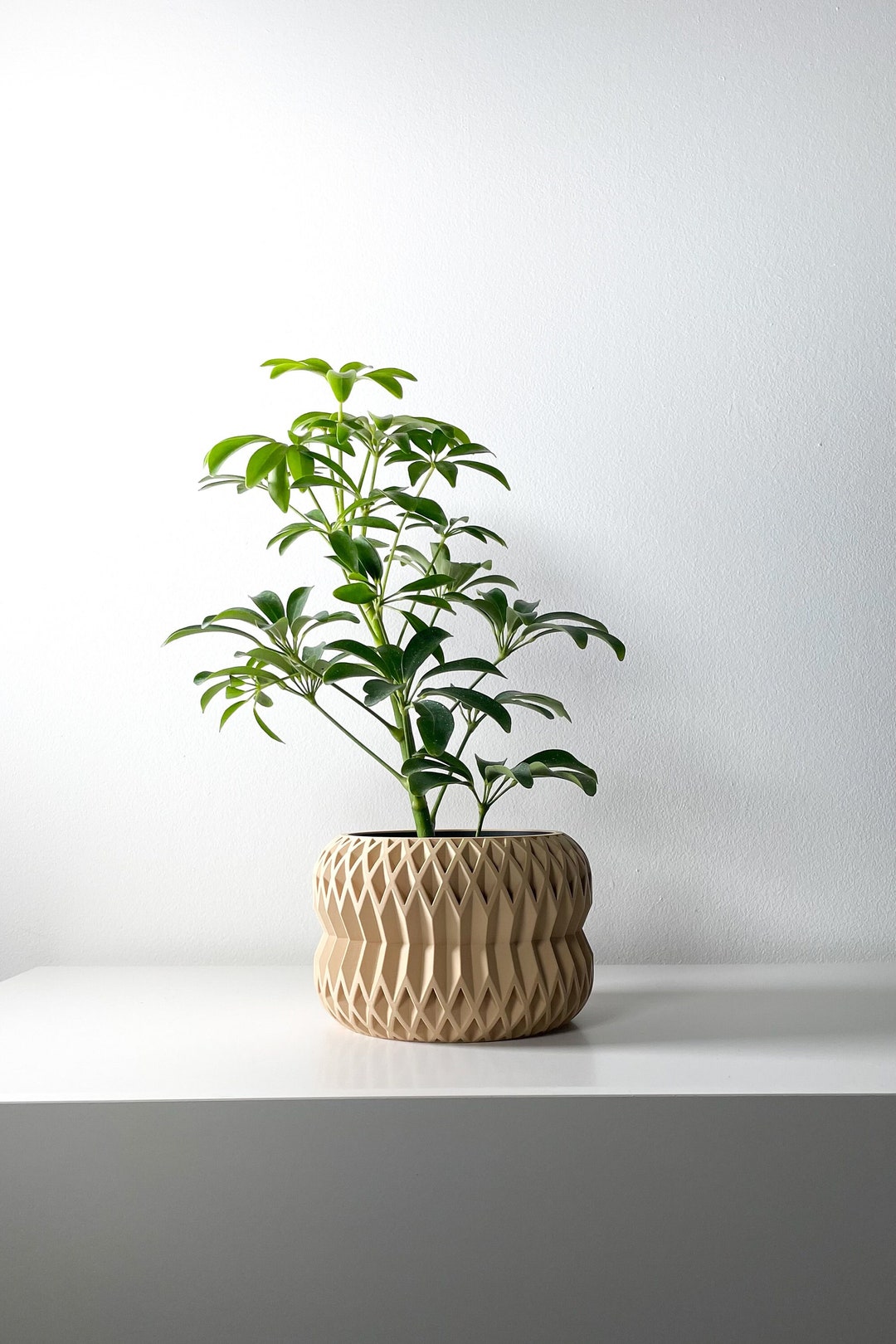 Unique Indoor Planter: Small Flower Pot With Drainage Perfect for ...