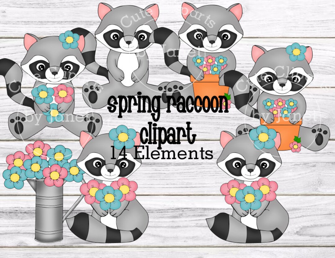 Spring Raccoon Clipart, Includes 14 Raccoon Images, Summer Raccoon ...