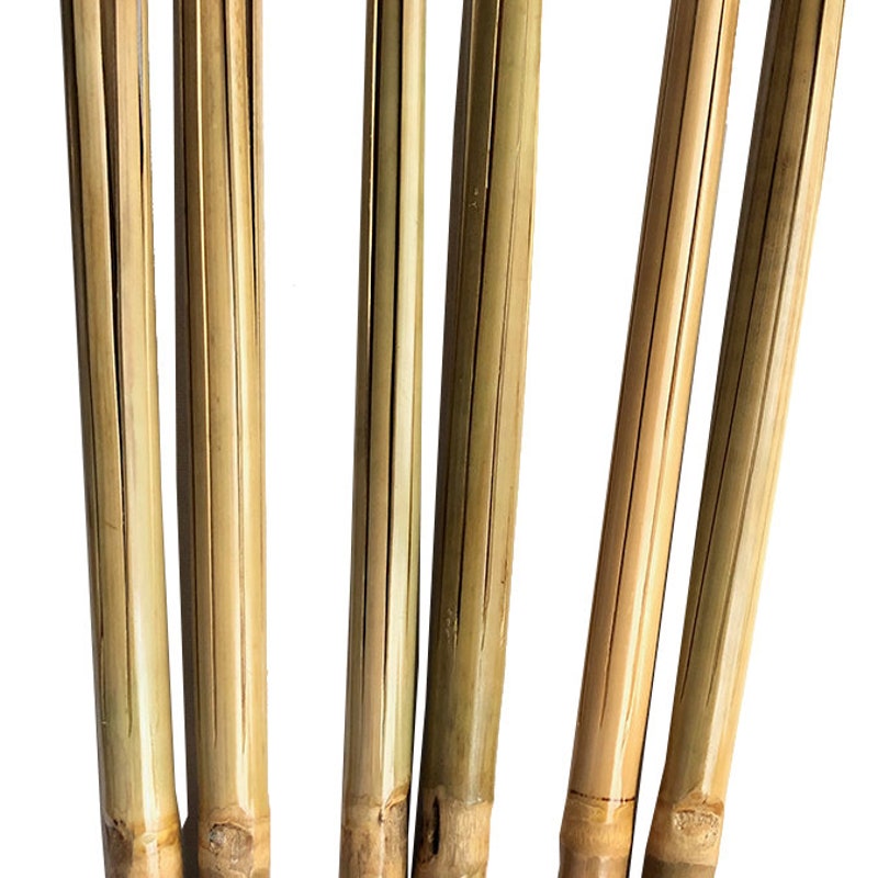 Hula Sticks - Etsy