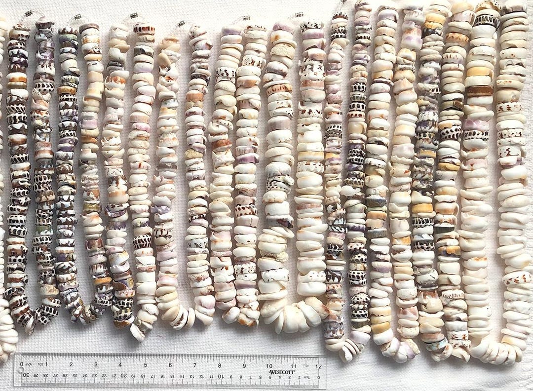 Tiger Puka Shells Necklaces - Etsy
