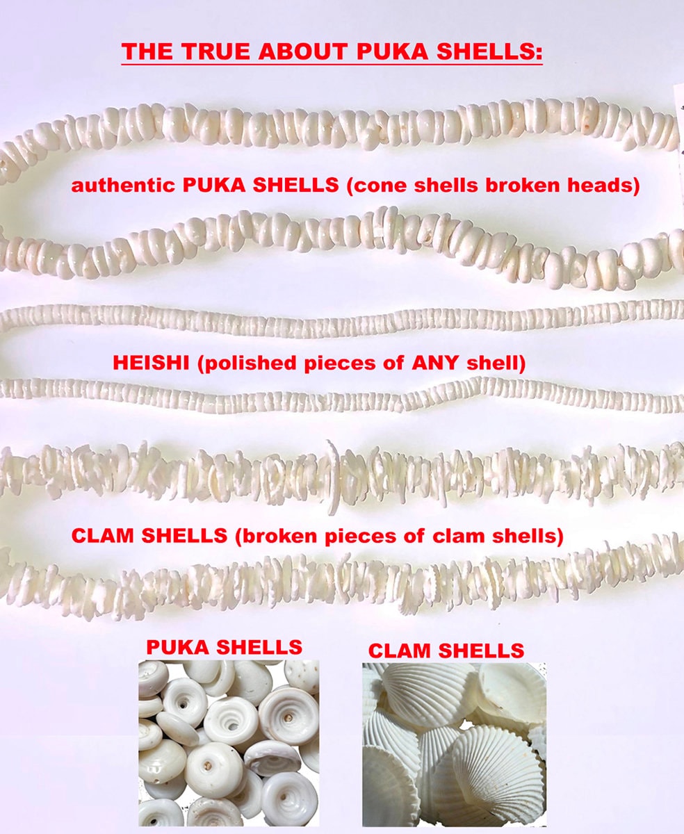 Genuine Puka Shells Necklaces - Etsy