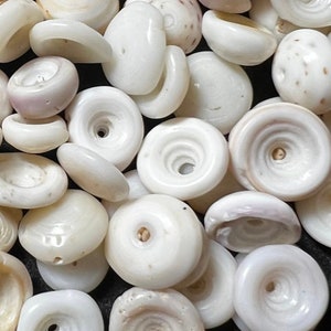 Genuine Puka Shells Necklaces - Etsy