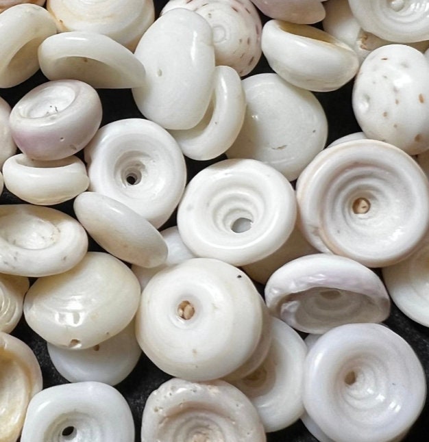 Genuine Puka Shells Necklaces - Etsy