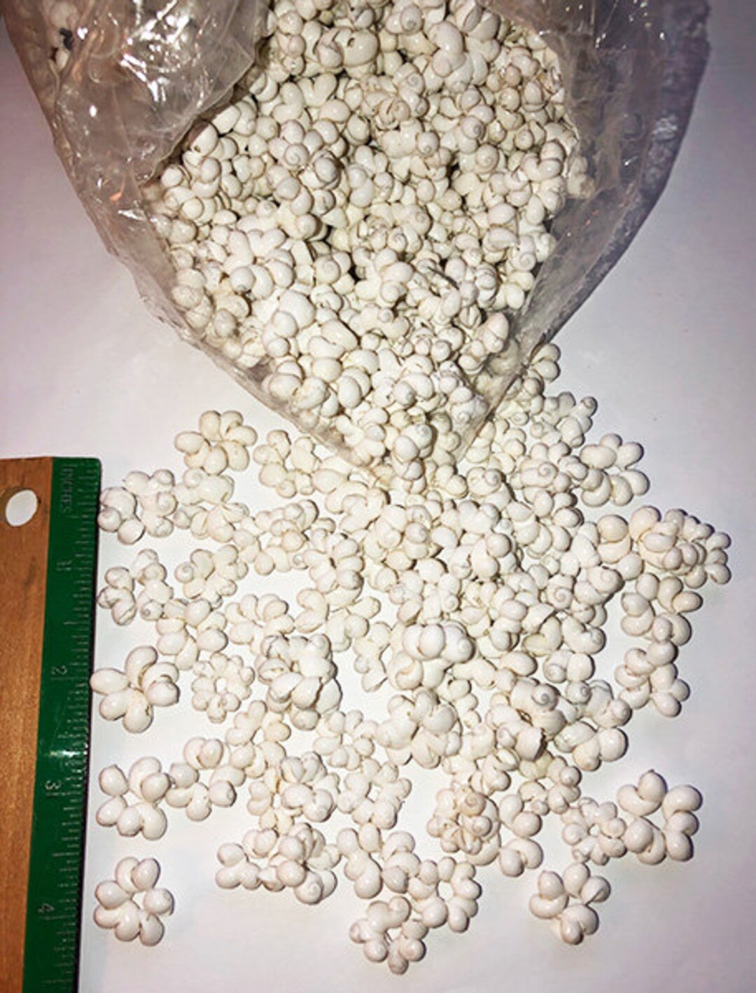 40 Shells Rings, Leis Spacers - Etsy