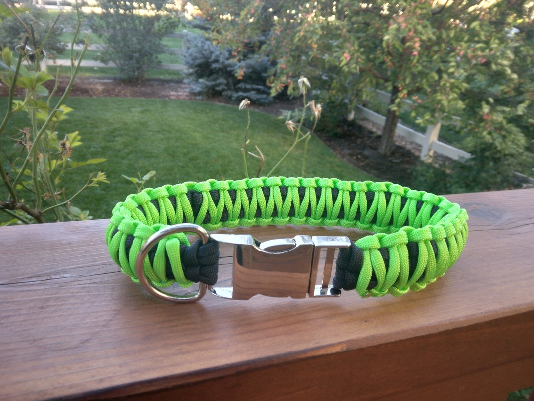 King Cobra Custom Dog Collar - Etsy