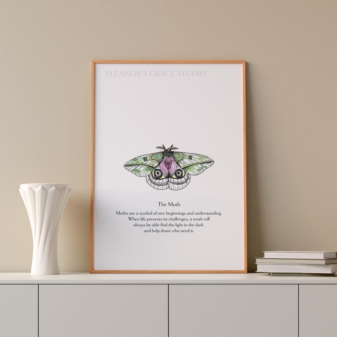 Moth Insect Hand Drawn Illustration Wall Art Minimal Spiritual Meaning ...
