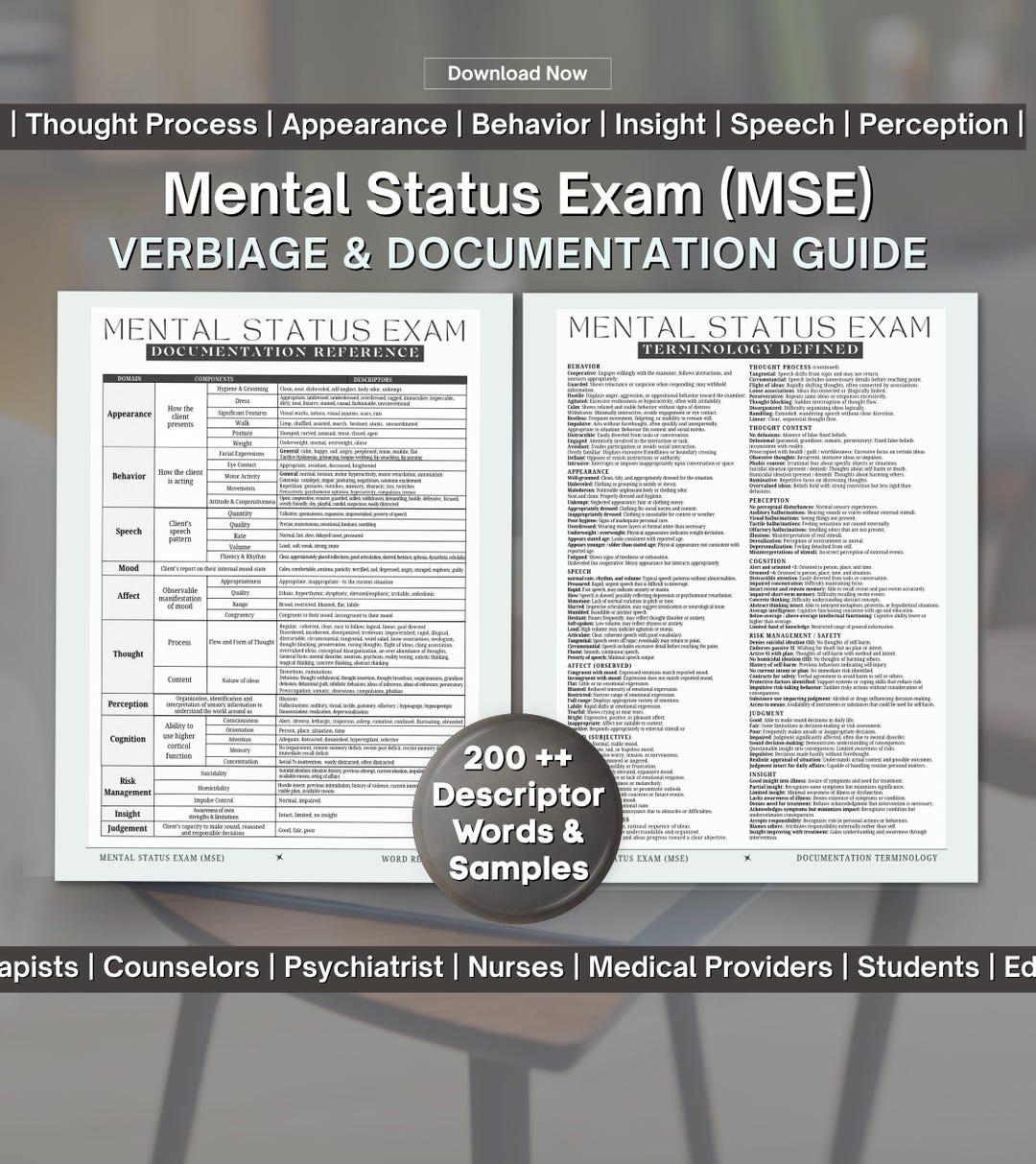 Mental Status Exam MSE Documenting Guide - Clinical Tool for Counseling ...