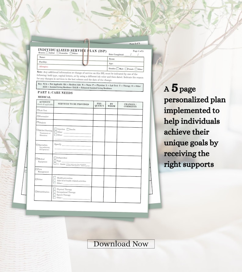 Editable Care Plan Template for Nursing Homes, Assisted Living ...