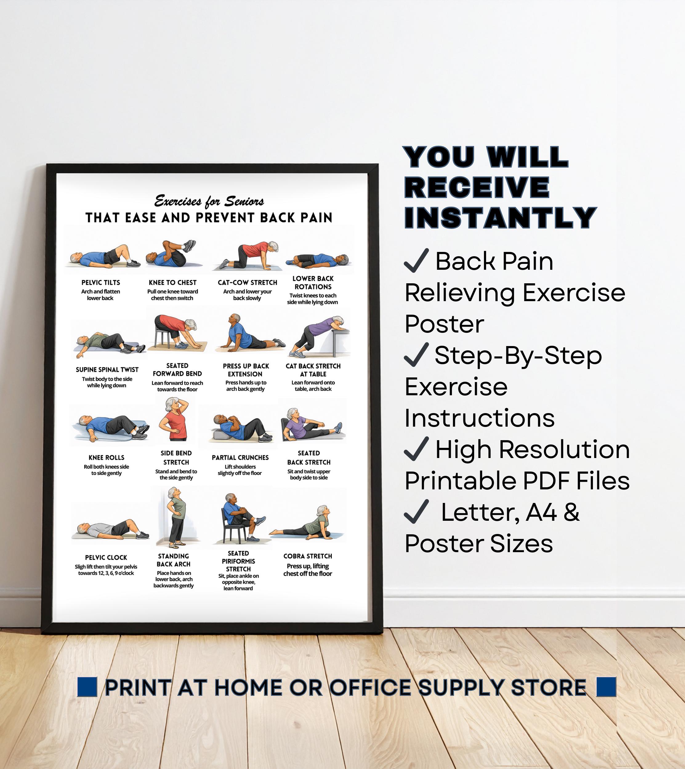 Back Pain Relief Exercises Poster | 16 Gentle Exercises | Printable ...