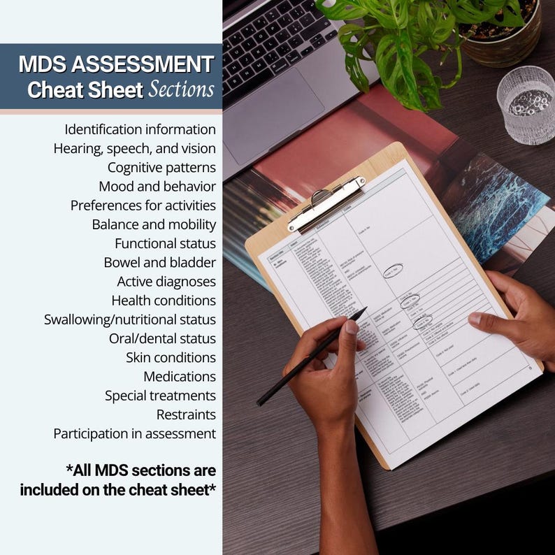 MDS Assessment Cheat Sheet, MDS Reference Tool for Nursing Home ...