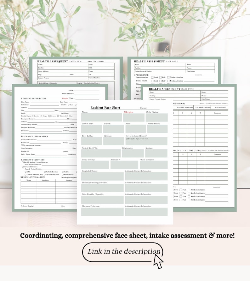 Comprehensive Care Plan Template for Nursing Homes, Assisted Living ...