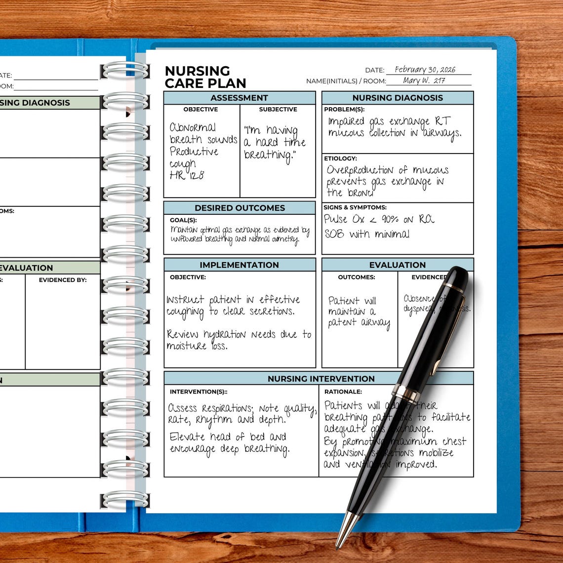 Nursing Care Plan Templates: Assessment, Intervention, Outcomes Guide ...
