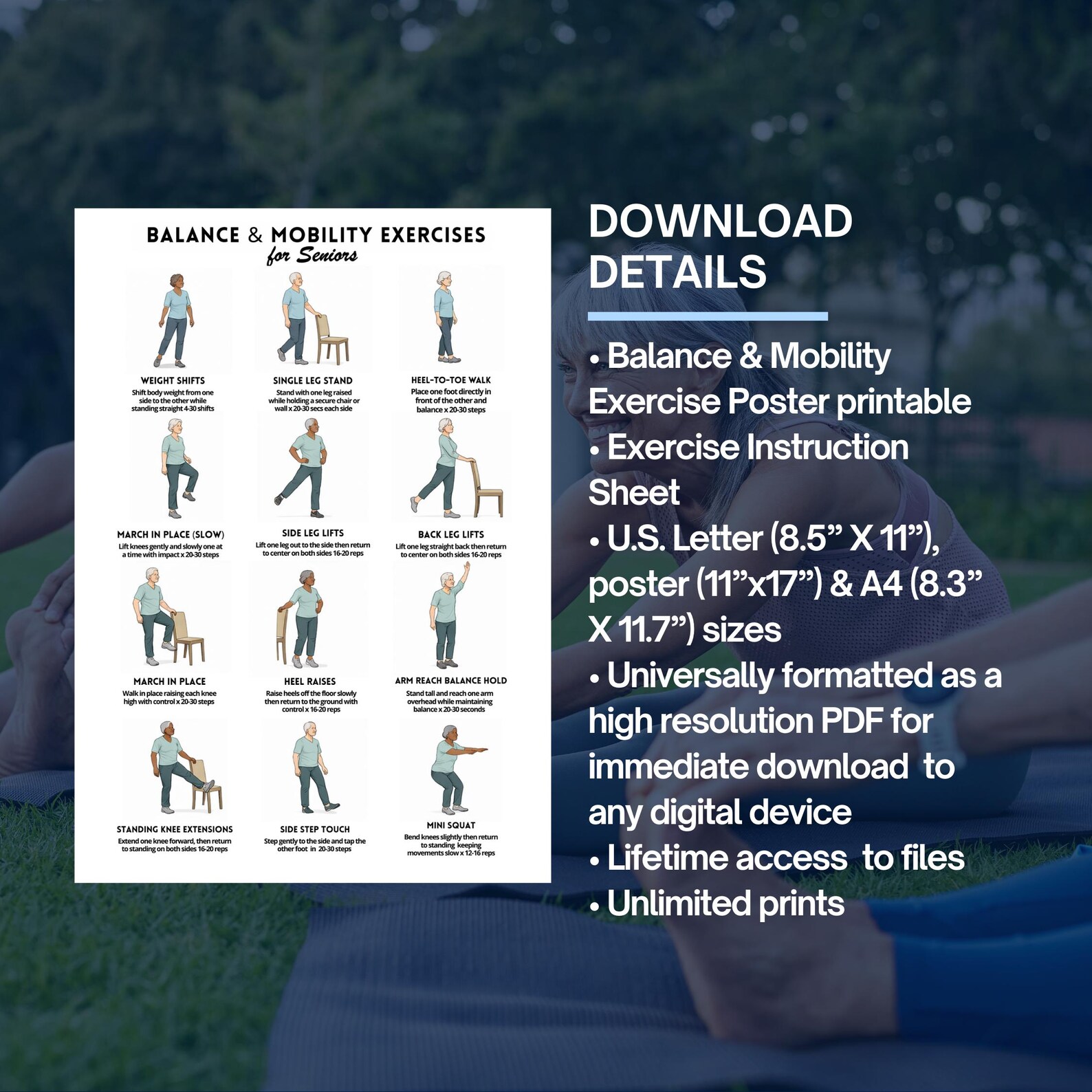 Fall Prevention & Balance Exercises for Seniors Poster, Easy Mobility ...