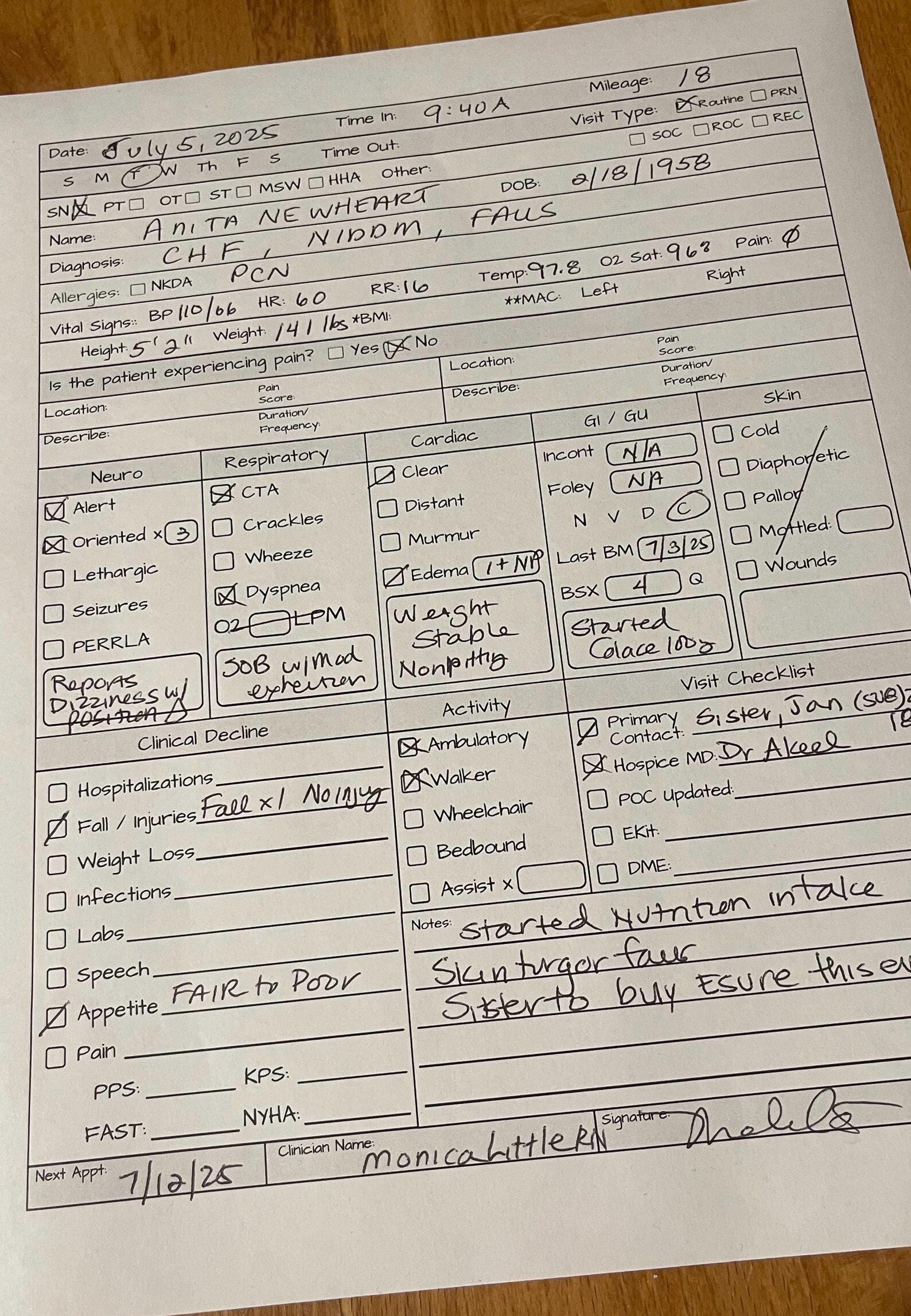 Home Health Nurse Home Visit, Hospice Nurse Visit Form, Palliative Care ...