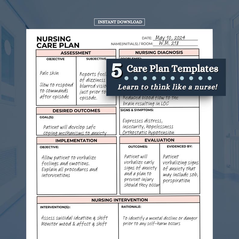 Nursing Care Plan Templates: Assessment, Intervention, Outcomes Guide ...