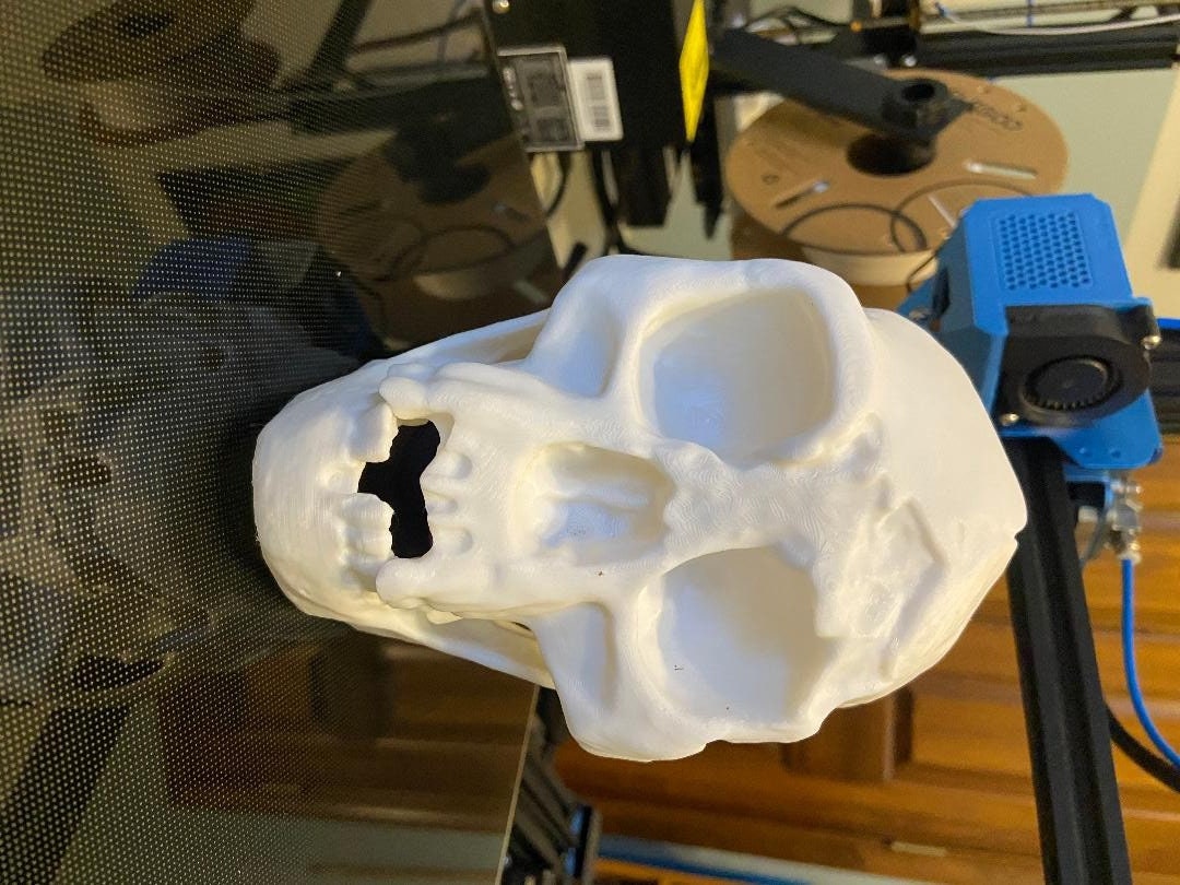 Hobbit Human Skull - Etsy