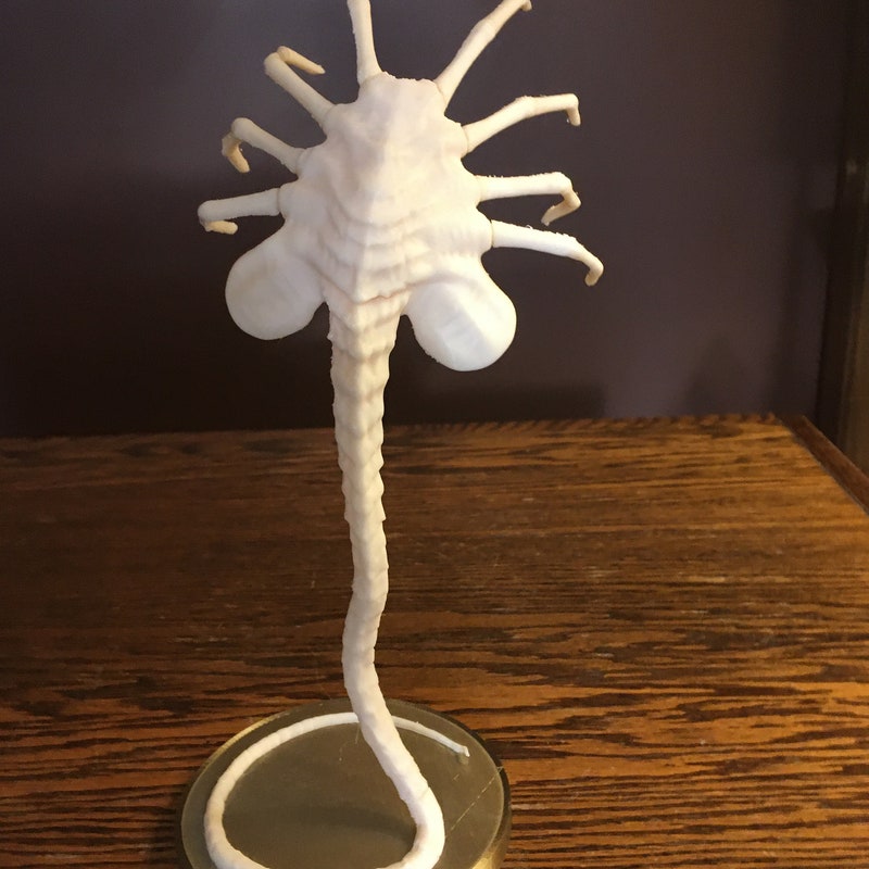 Facehugger Mask - Etsy