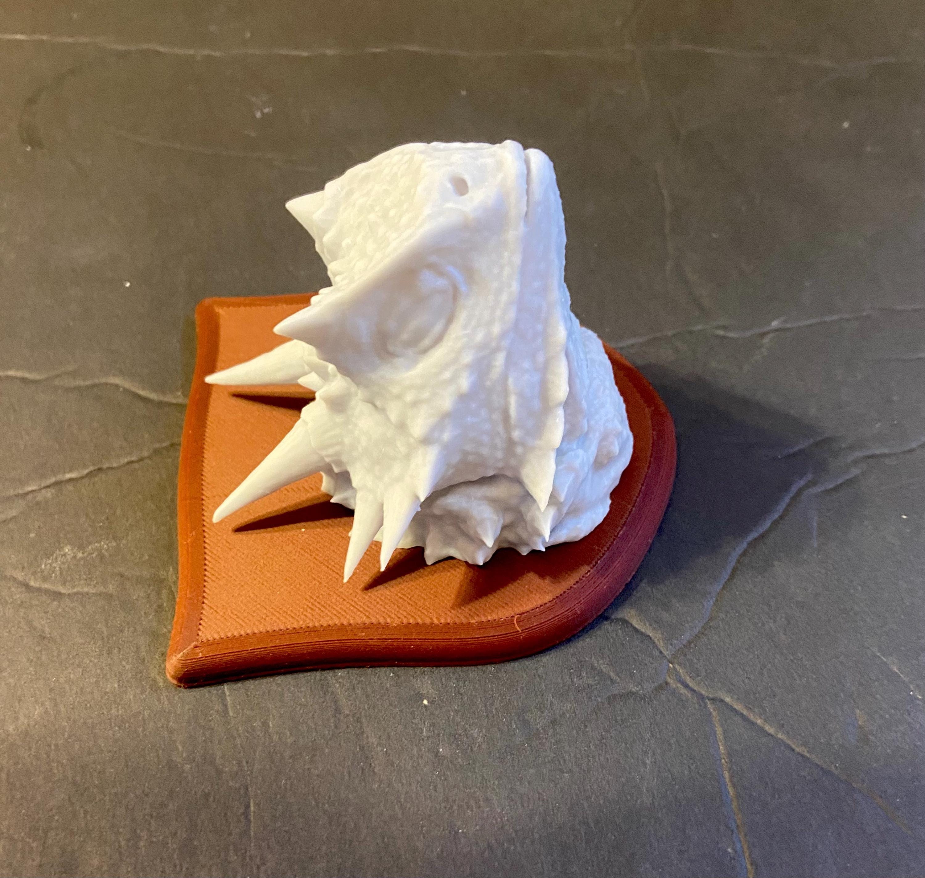 Upgrade Horny Toad Trophy Head - Etsy