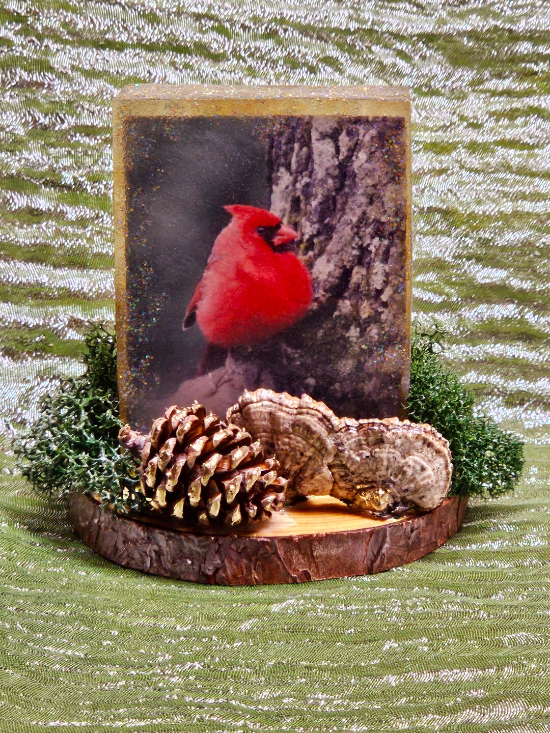 Cardinal Mini Photo in Resin Desk/shelf Art - Etsy