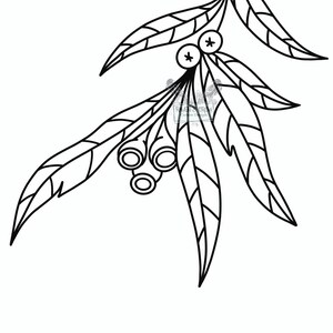 Eucalyptus-gum Leaf-gum Nut-svg Bundle- Foliage- Instant Download-png ...
