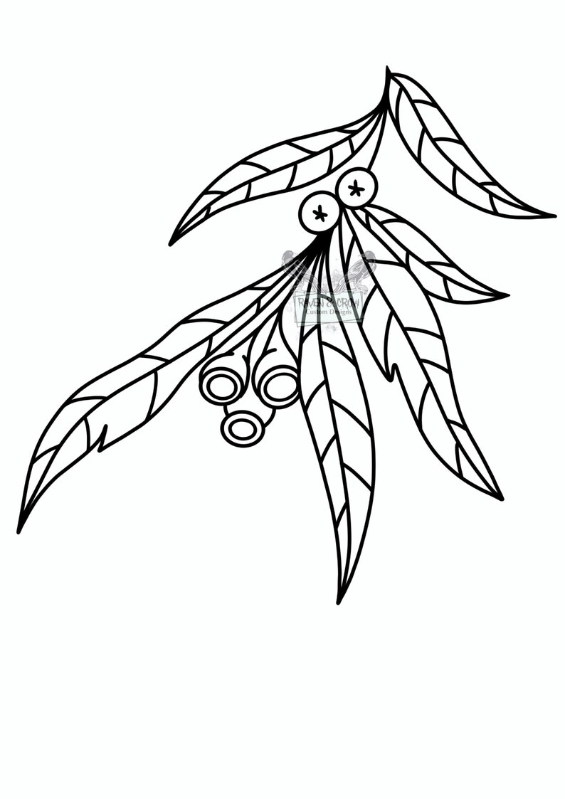 Eucalyptus-gum Leaf-gum Nut-svg Bundle- Foliage- Instant Download-png ...