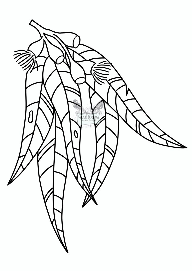 Eucalyptus-gum Leaf-gum Nut-svg Bundle- Foliage- Instant Download-png ...