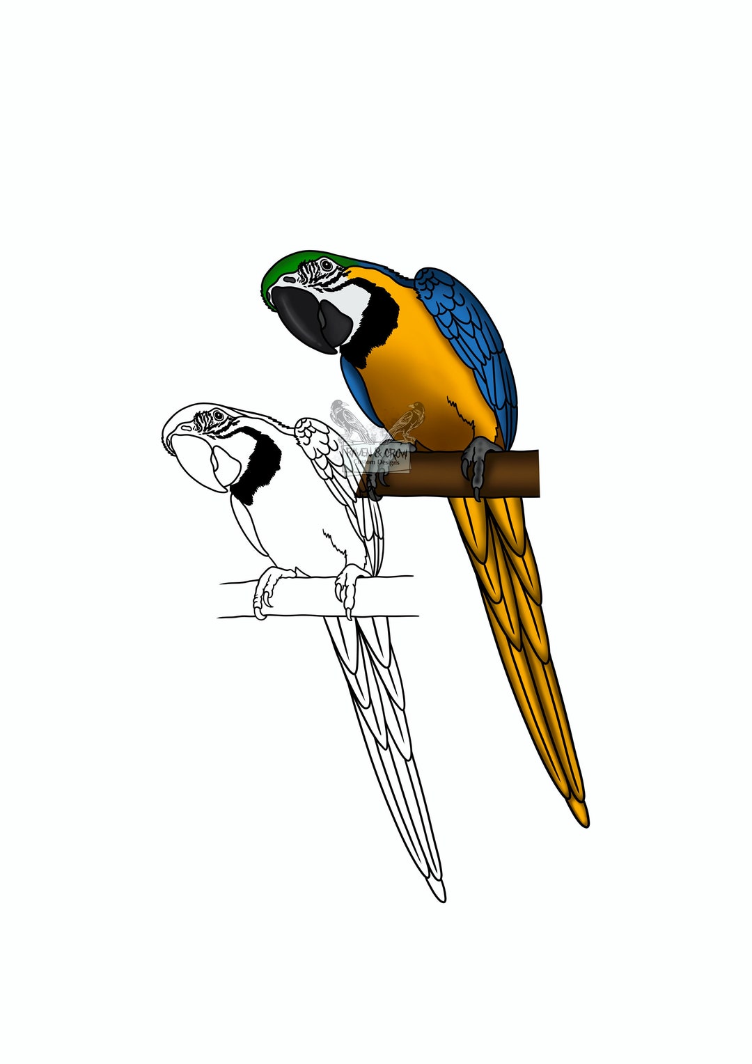 Macaw-parrot-blue and Gold-instant Download-png-jpg- SVG- Files ...