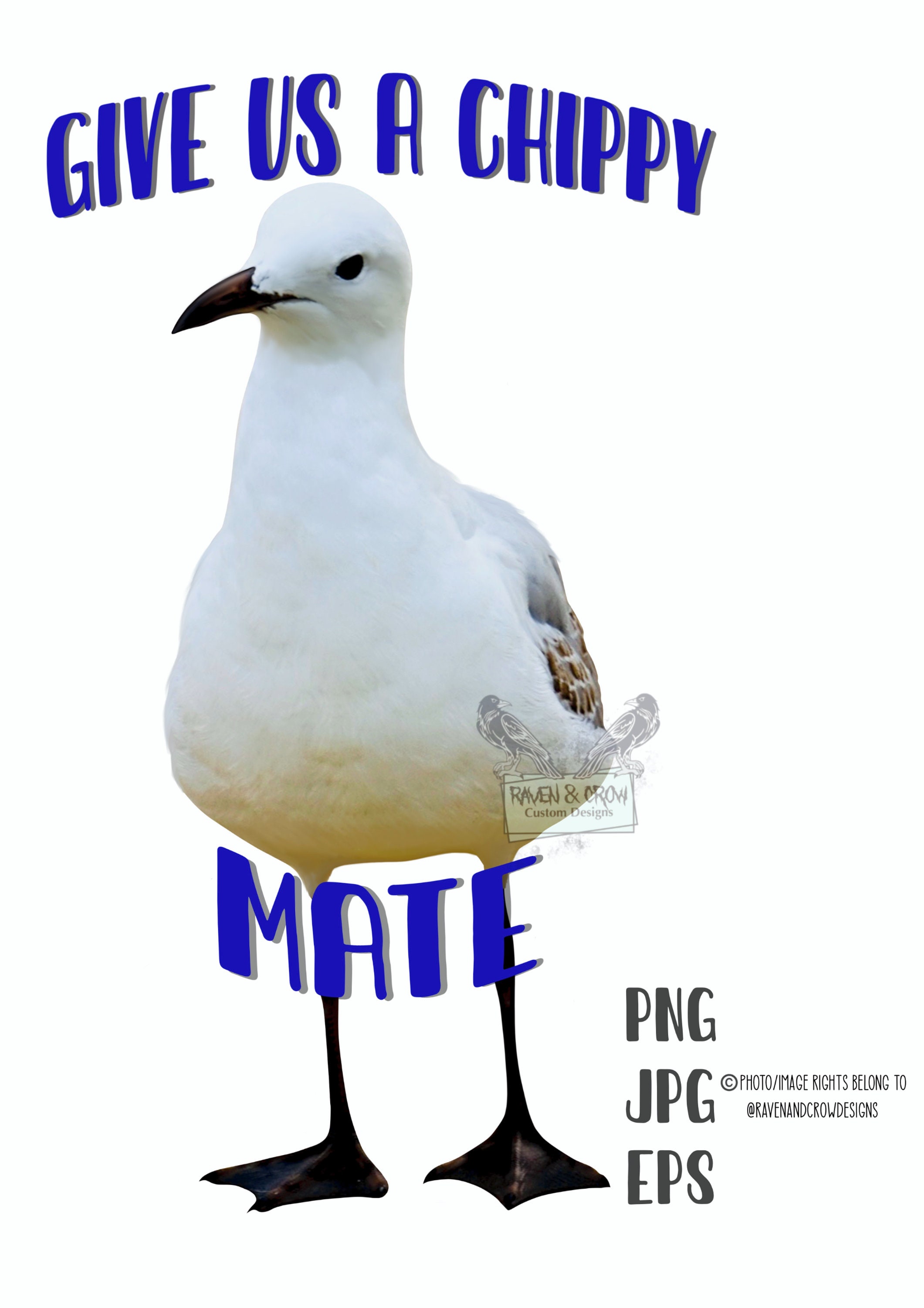 Funny Seagull-australian Humour PNG JPG EPS Sublimation File Instant ...