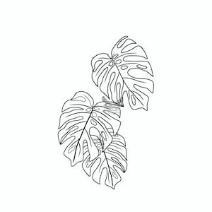 Monstera-plant Leaf-instant Download-png-jpg- SVG- Files Included ...
