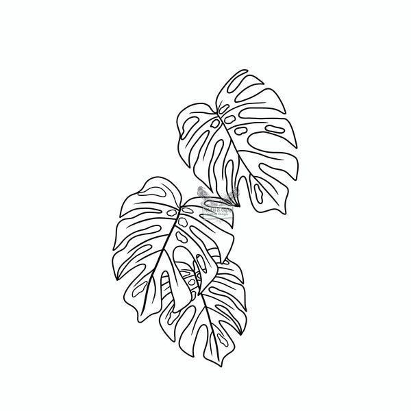 Monstera-plant Leaf-instant Download-png-jpg SVG Files Included Graphic ...